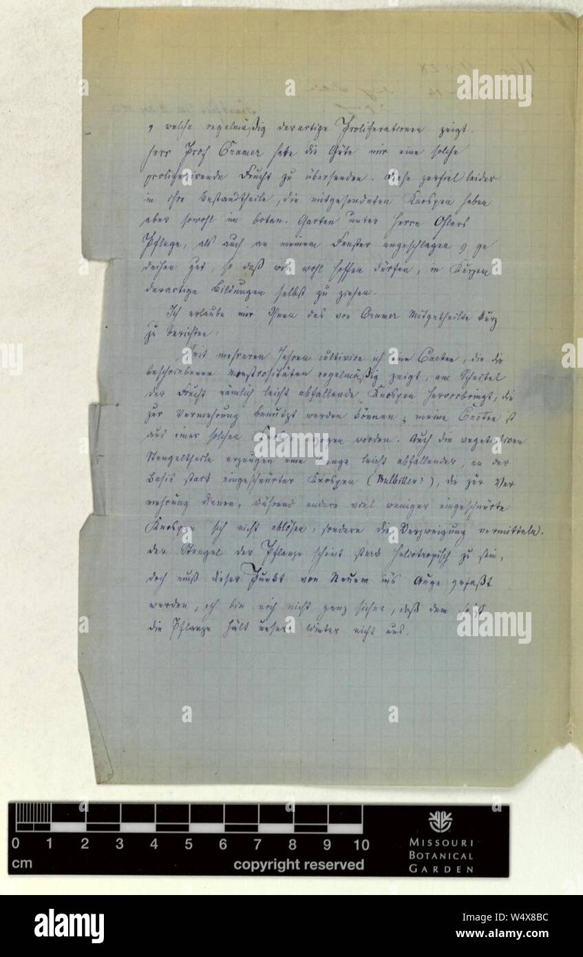 Correspondence - Geyler (Hermann) and Engelmann (George) (Nov 11, 1873 ...