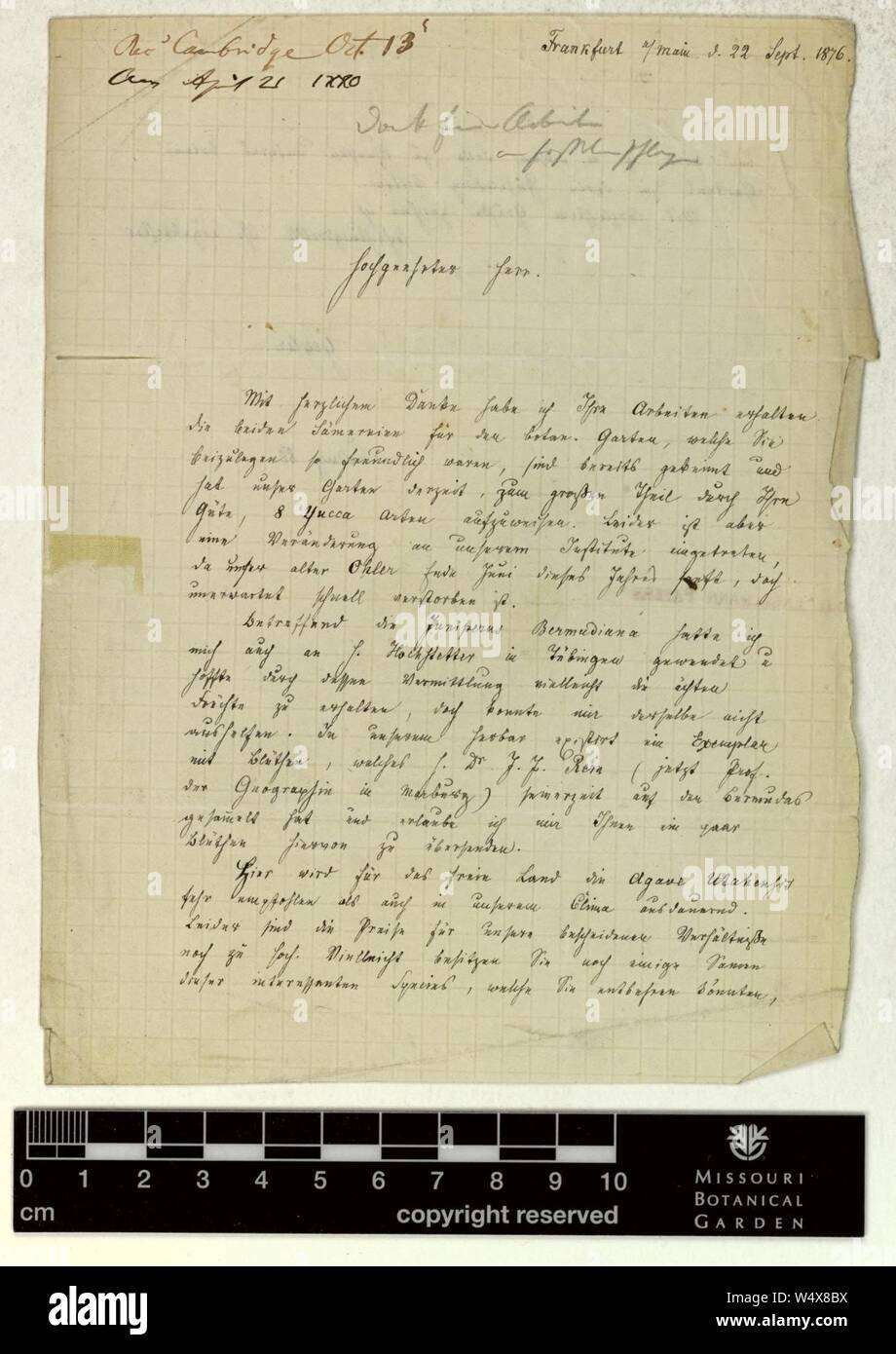 Correspondence - Geyler (Hermann) and Engelmann (George) (Sep 20, 1876 ...