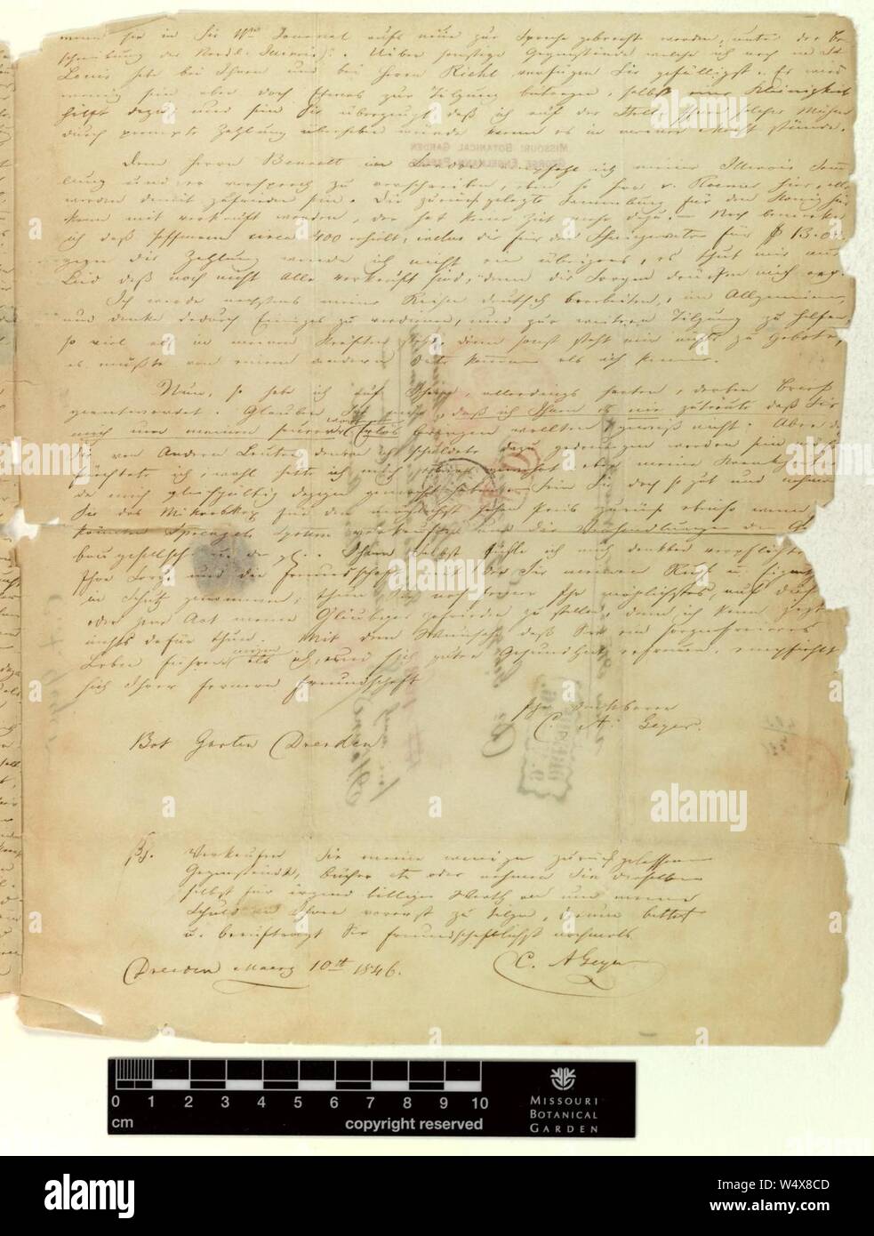 Correspondence - Geyer (Karl) and Engelmann (George) (Mar 09, 1846 (2 ...