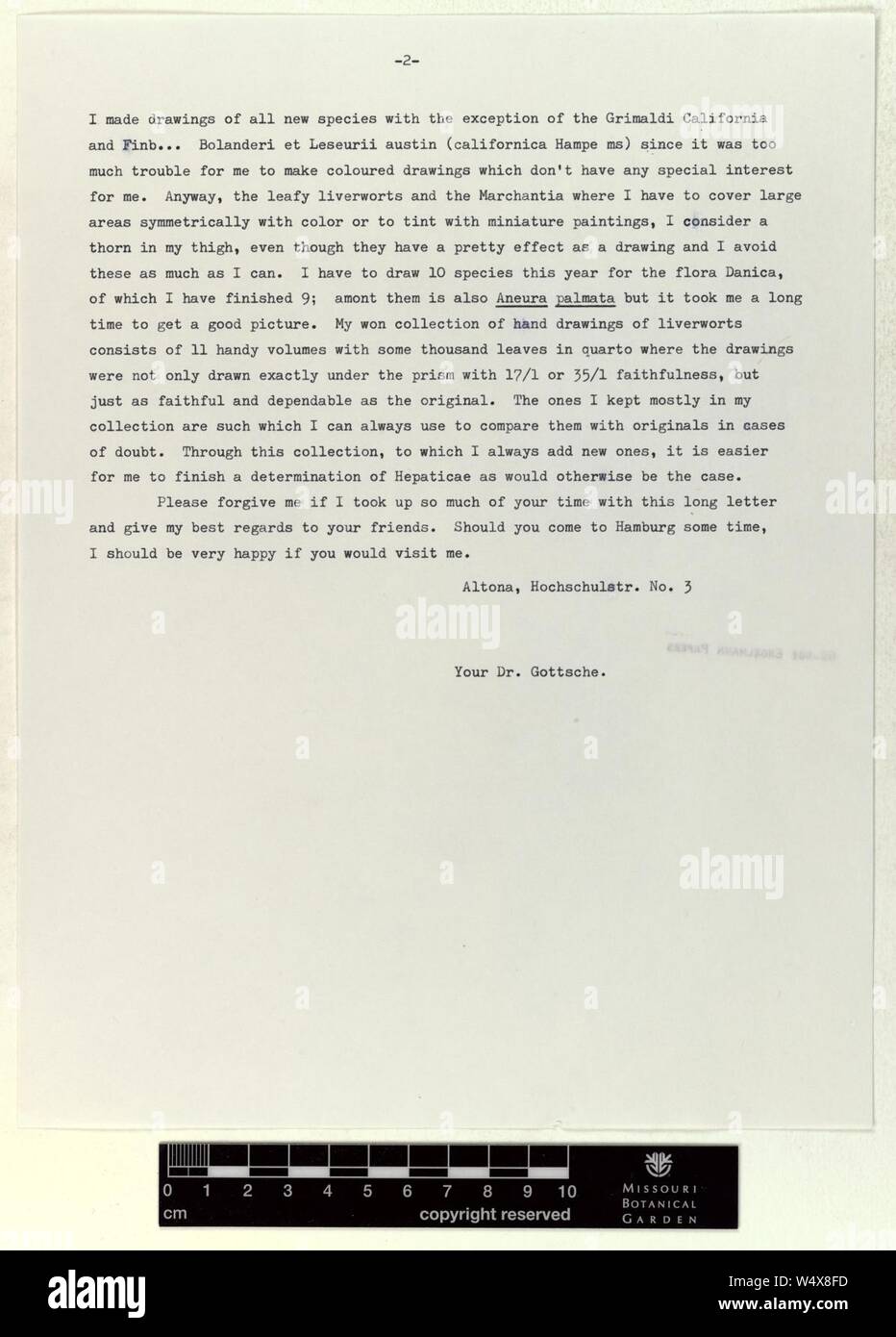 Gottsche hi-res stock photography and images - Alamy