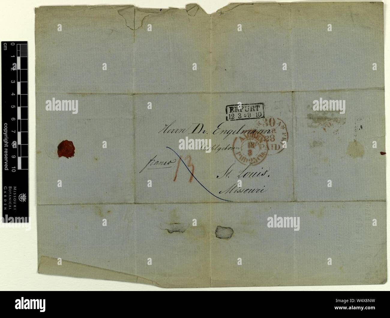 Haage hi-res stock photography and images - Alamy