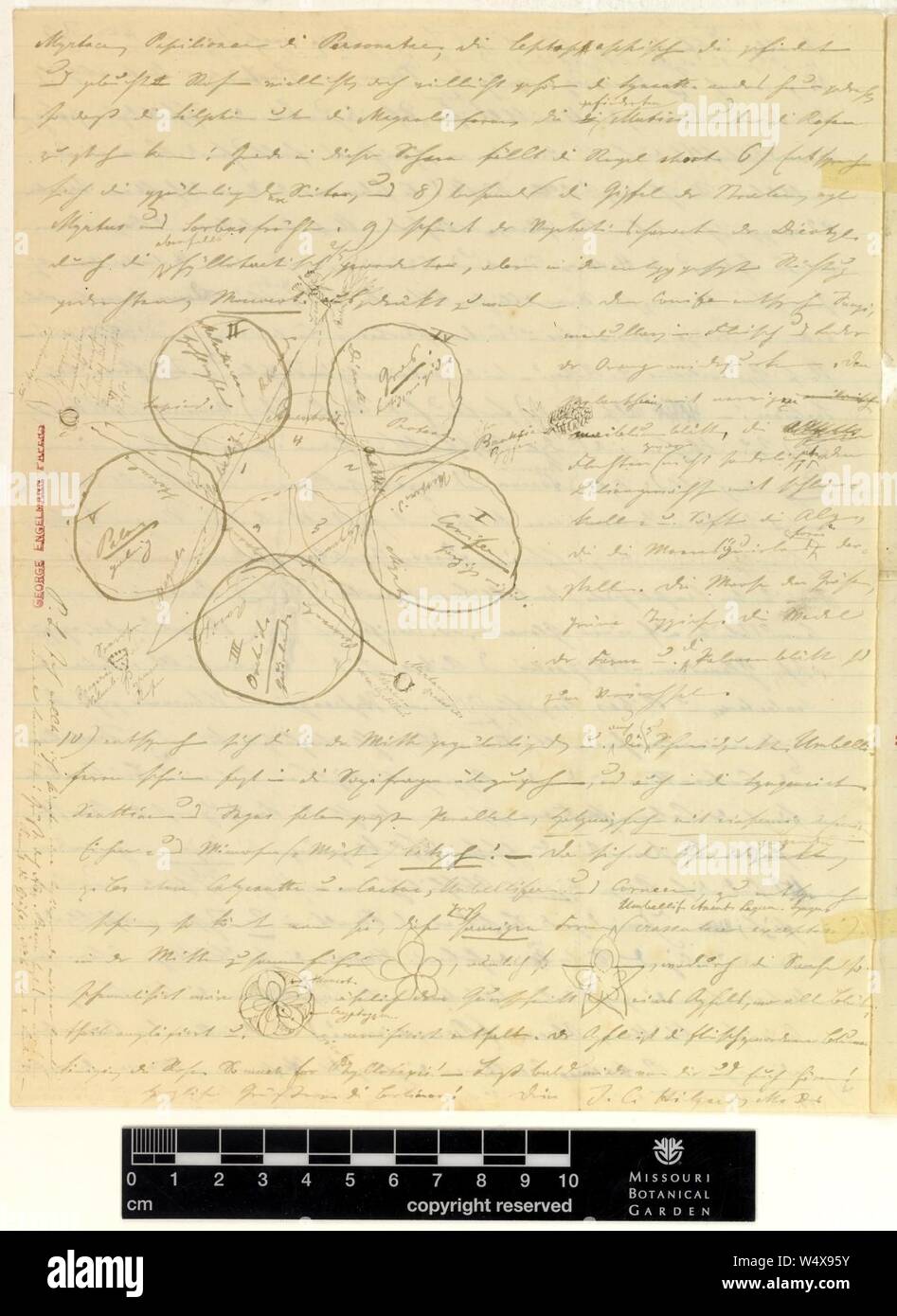 Hilgard hi-res stock photography and images - Alamy