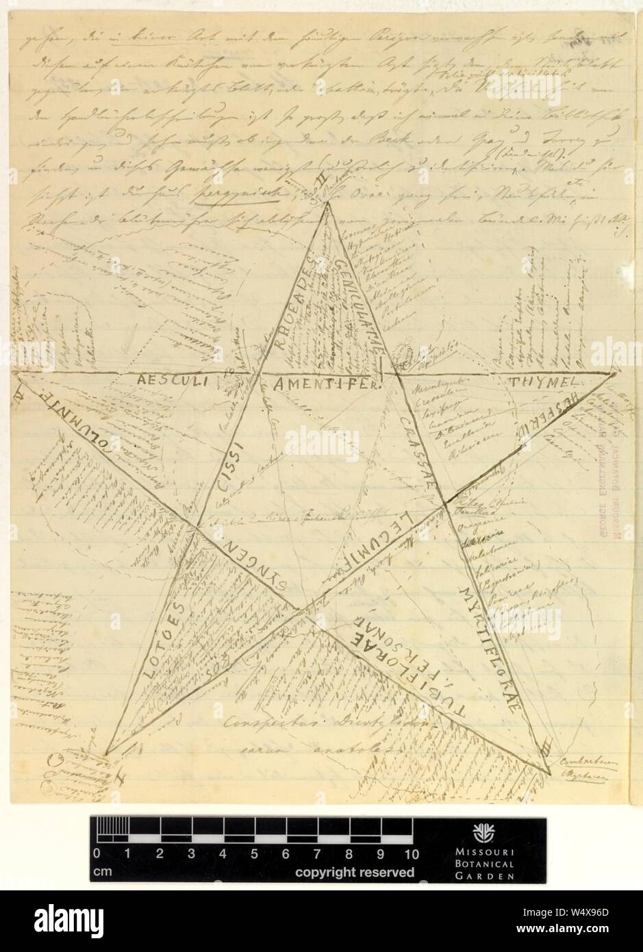Correspondence - Hilgard (Theodore) to Engelmann (George) (May 28, 1857 ...