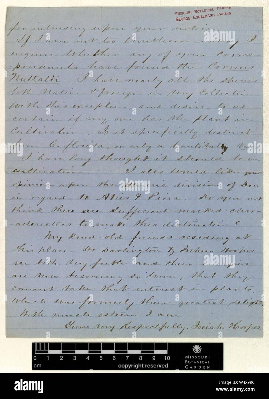 Correspondence - Hoopes (Josiah) and Engelmann (George) (Jan 14, 1863 ...