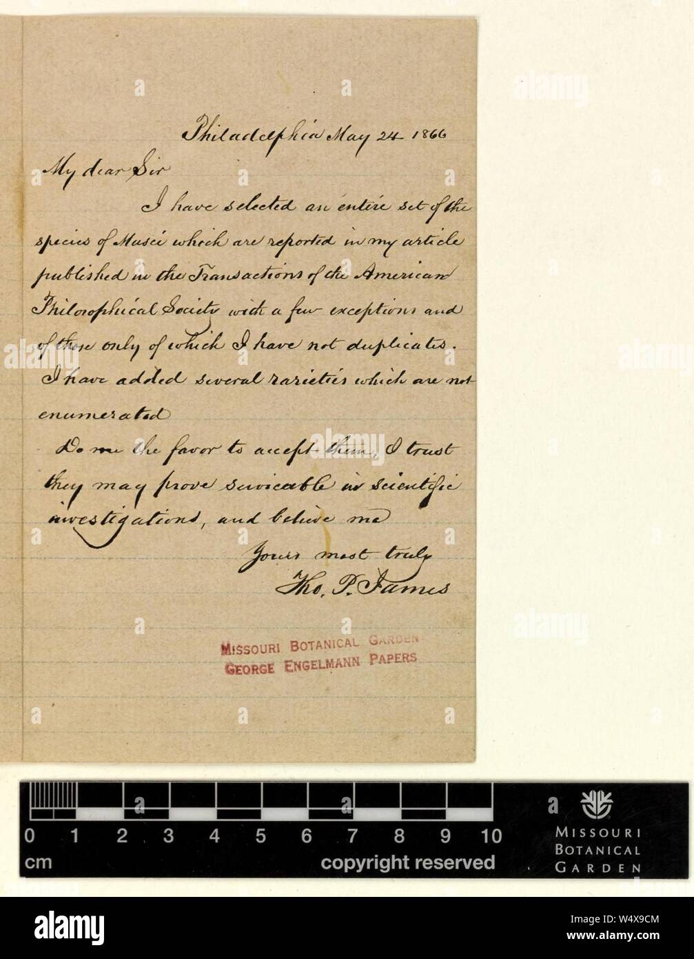 Thomas engelmann hi-res stock photography and images - Alamy