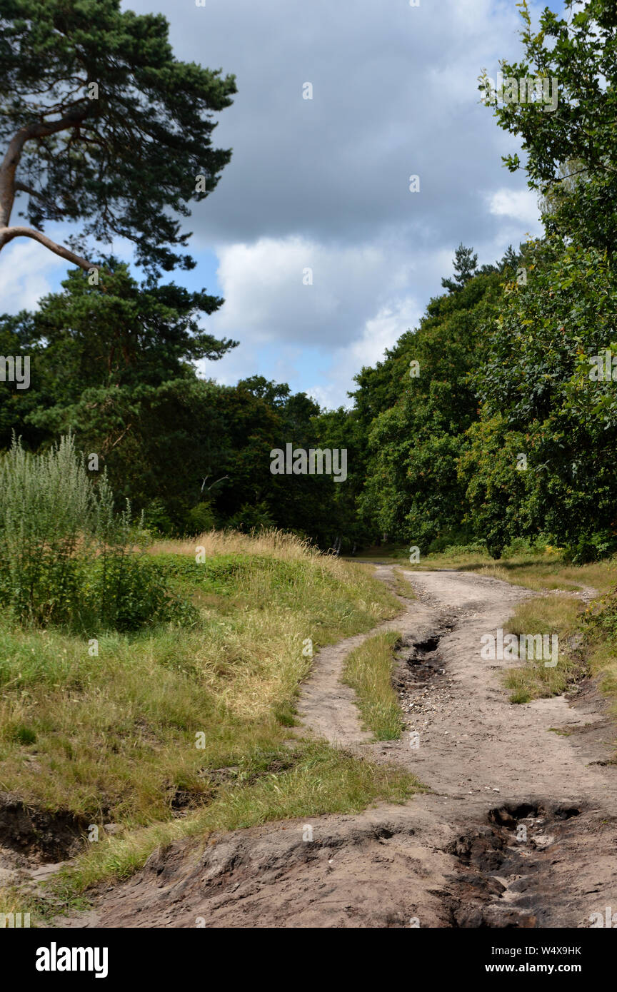 Reigate common and town centre Stock Photo - Alamy