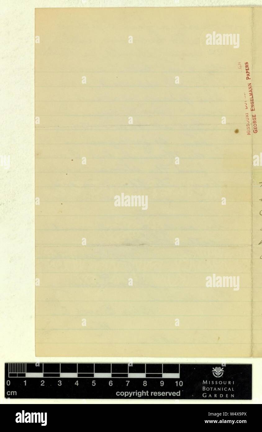 Correspondence - Leiberg (John) and Engelmann (George) (Jan 05, 1882 (2 ...