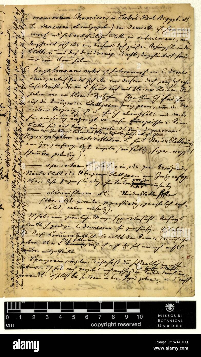 Correspondence - Leonhardi (Hermann) and Engelmann (George) (Dec 16 ...