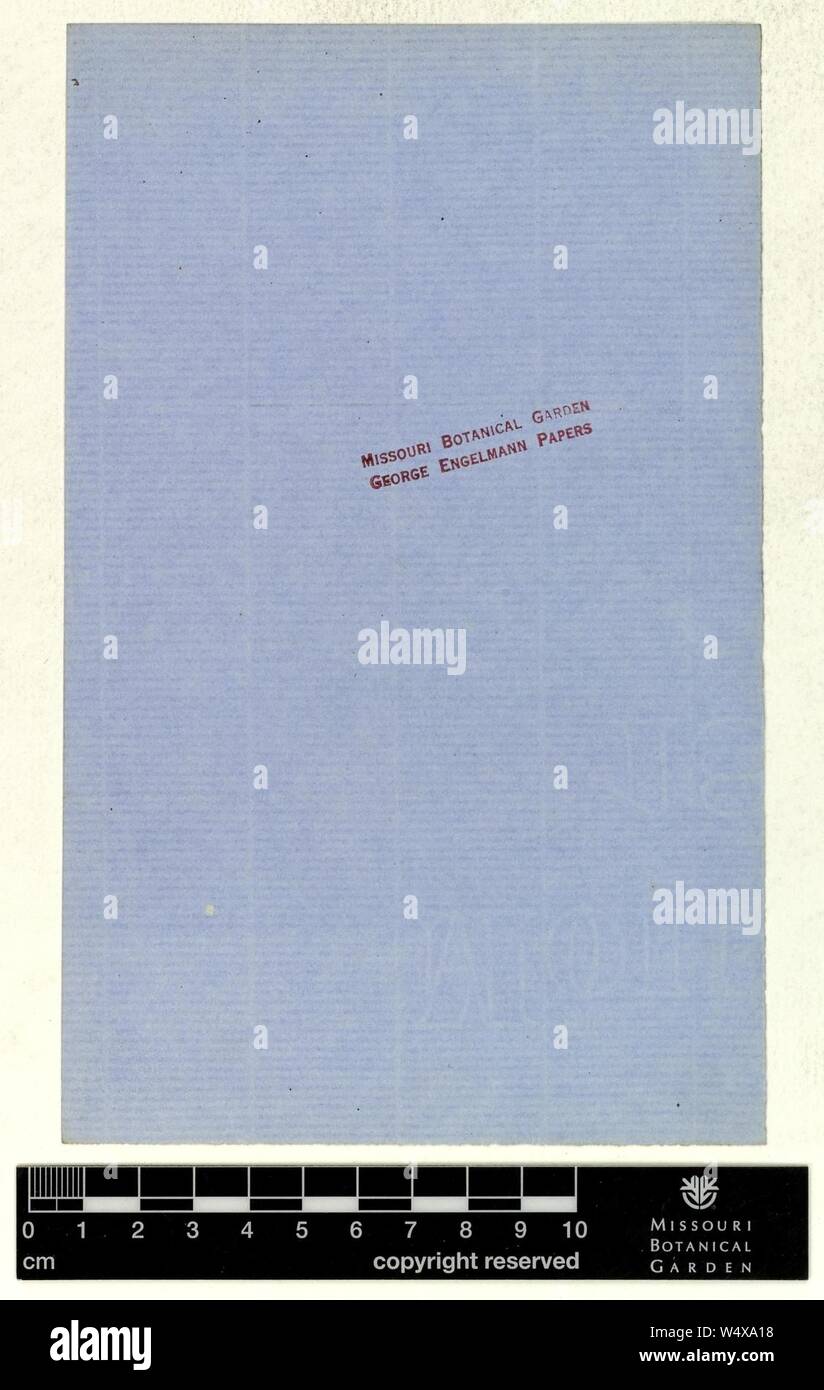 Joseph lovering hi-res stock photography and images - Alamy