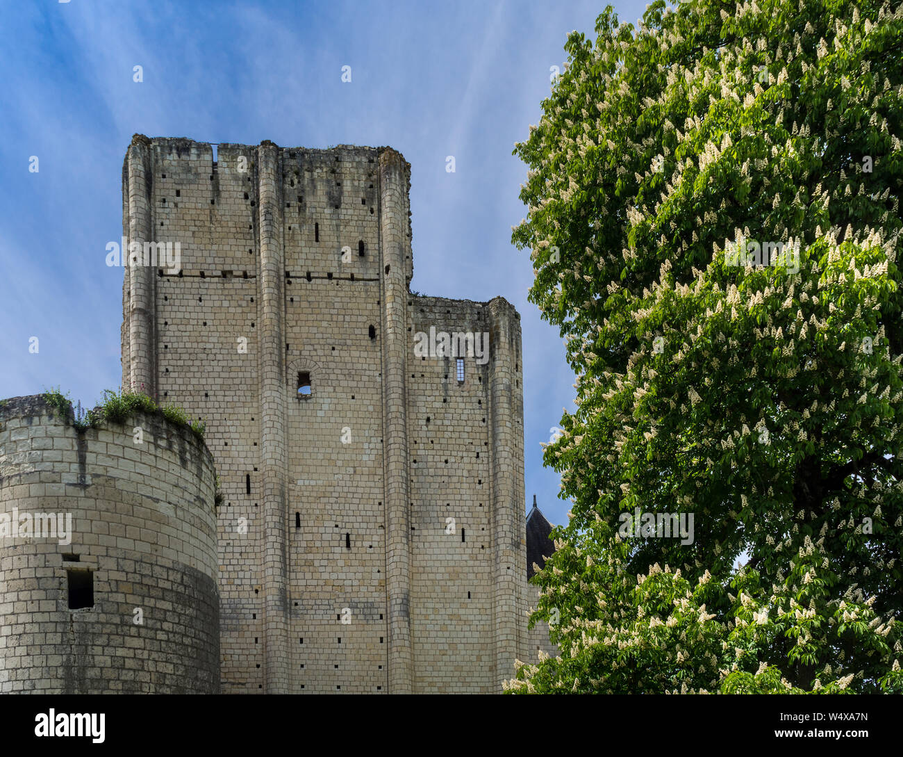 Castle donjon, Loches, Indre-et-Loire, France Stock Photo - Alamy