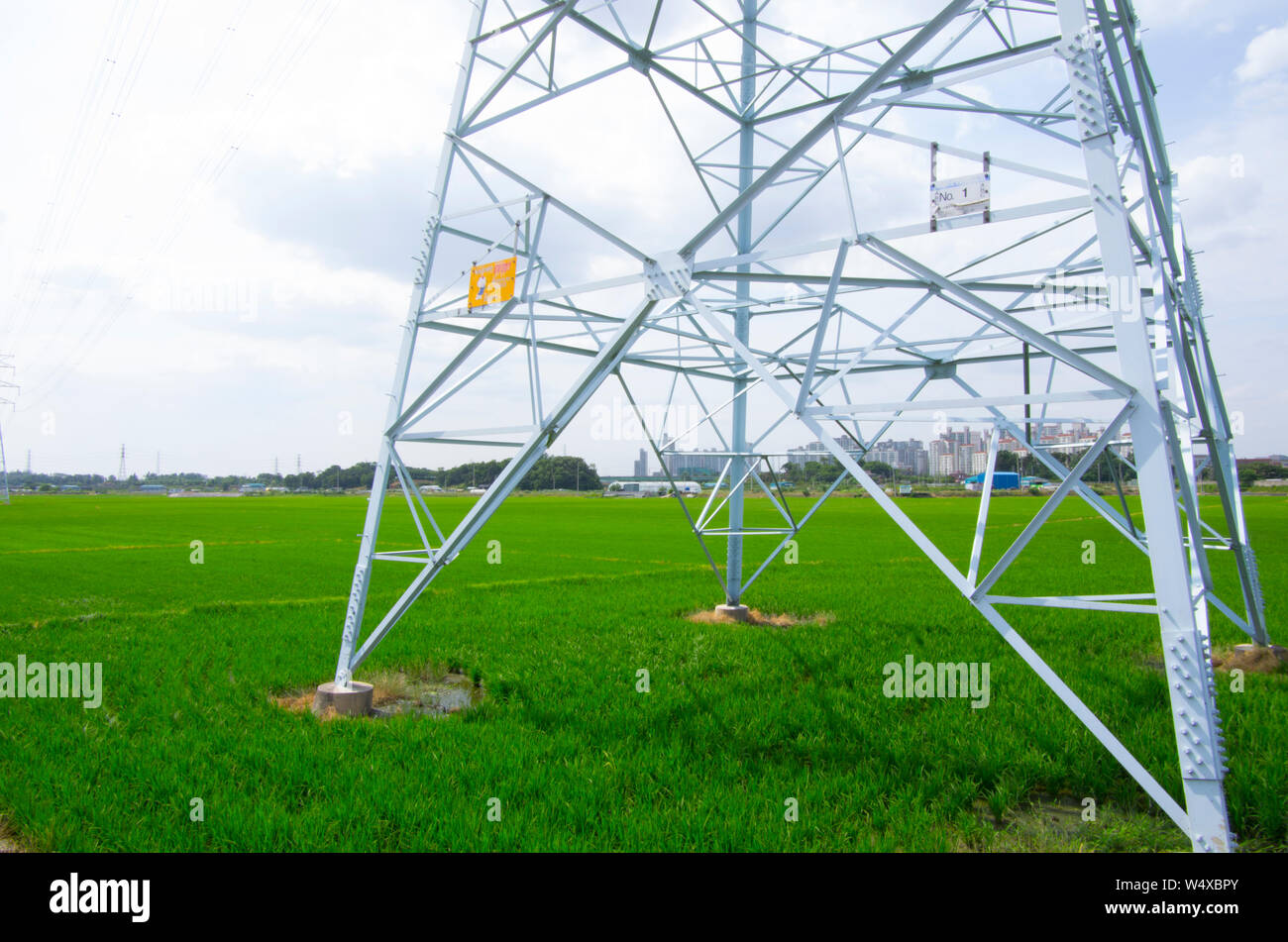 the power line tower over the rice field Stock Photo - Alamy
