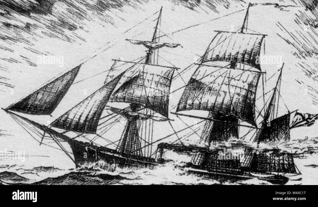 Novik hi-res stock photography and images - Alamy