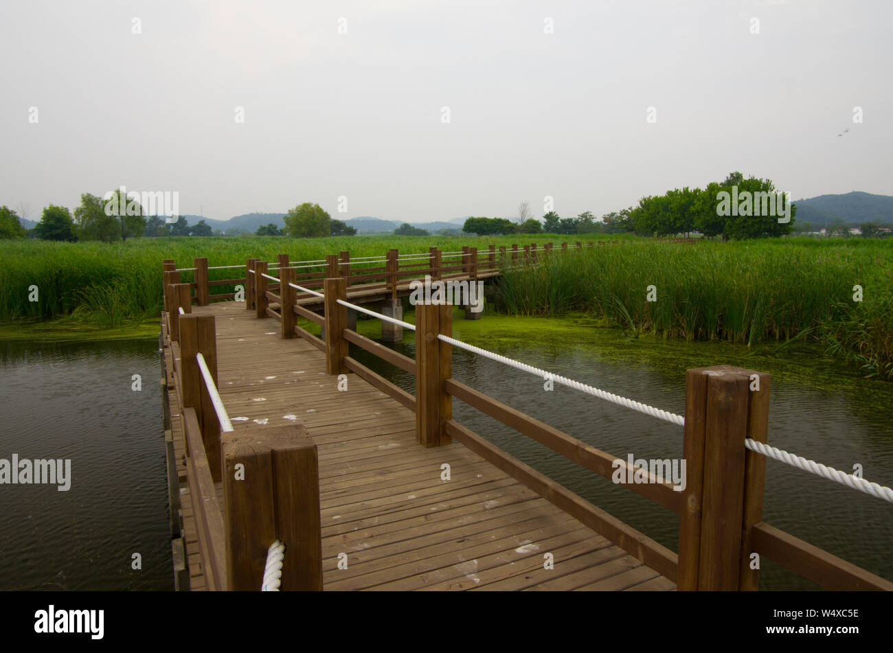 bridge on the swamp Stock Photo - Alamy