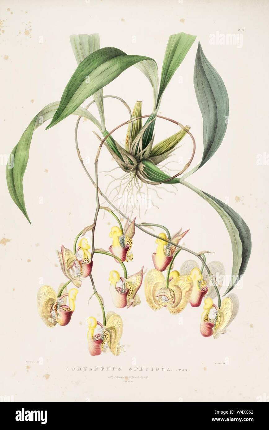 Bateman collection hi-res stock photography and images - Alamy