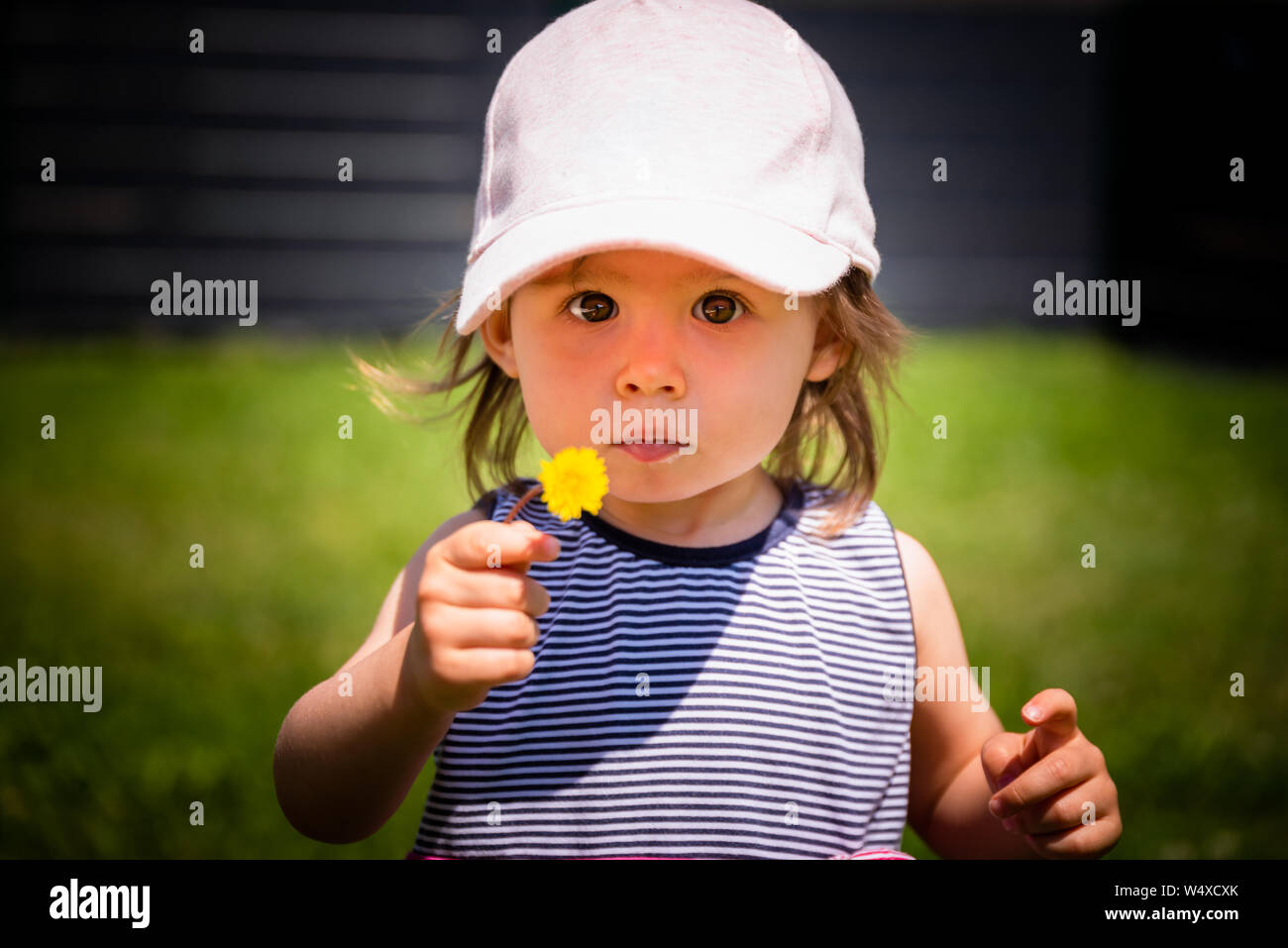 One half year old baby hi-res stock photography and images - Alamy