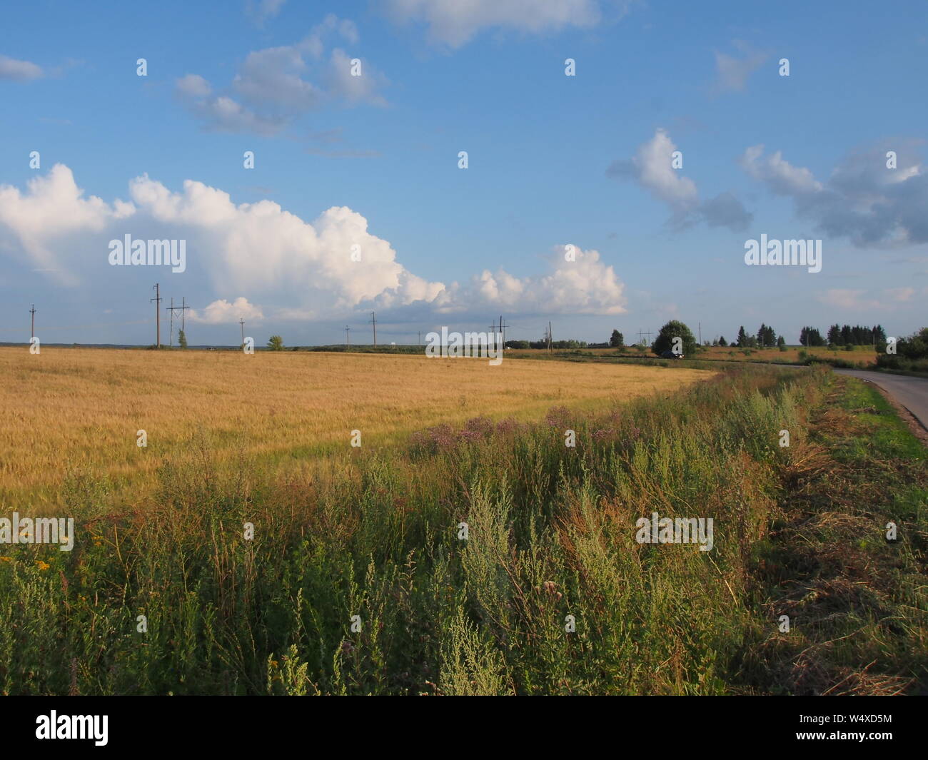 Summer agricultural fields hi-res stock photography and images - Alamy