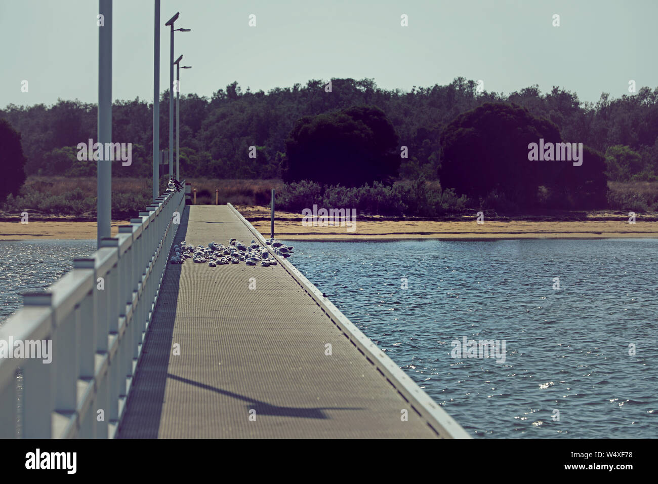Pier Steg at the sea in Australia Stock Photo - Alamy