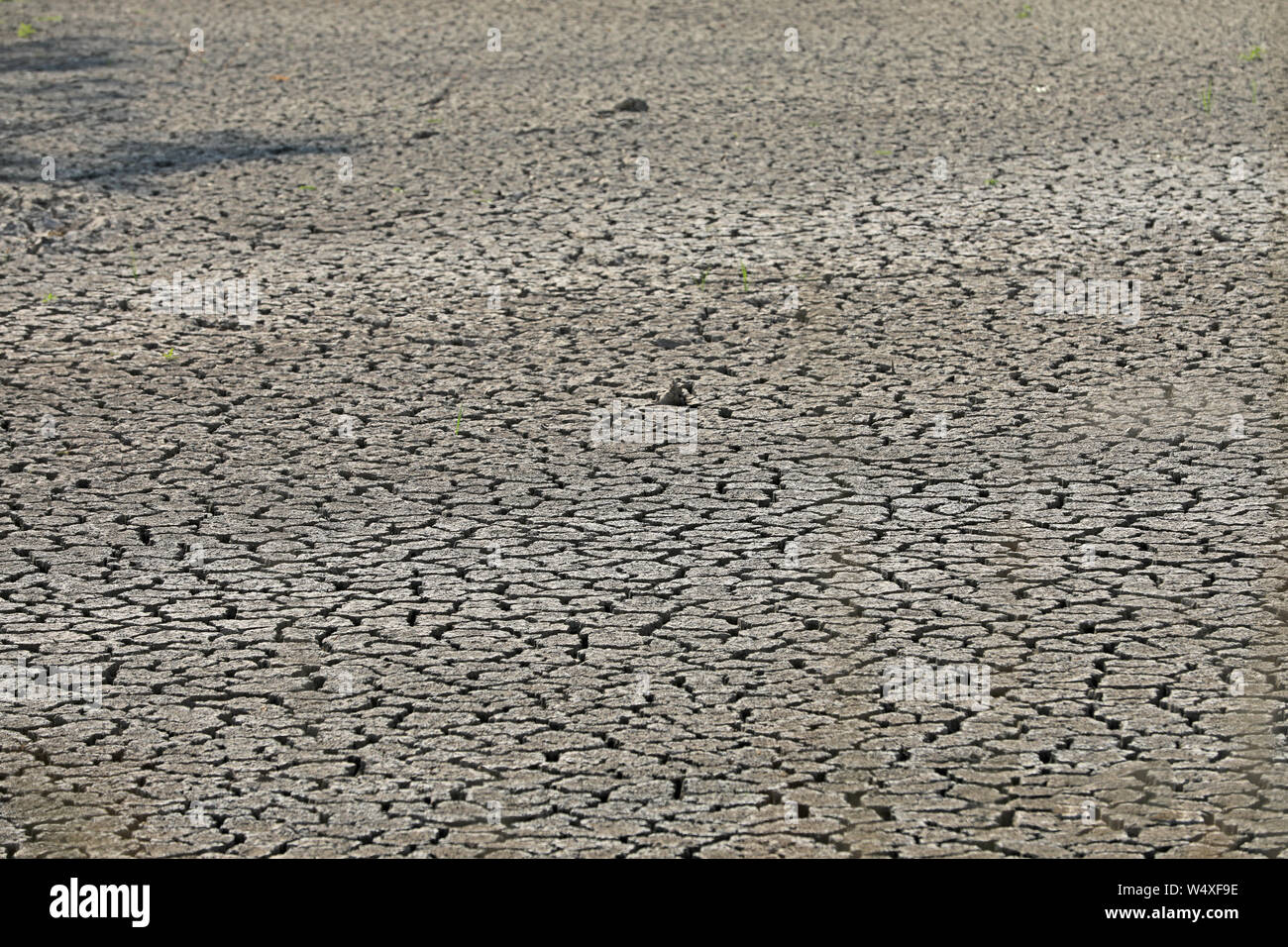 Dried-out soil Drought Climate change Stock Photo - Alamy