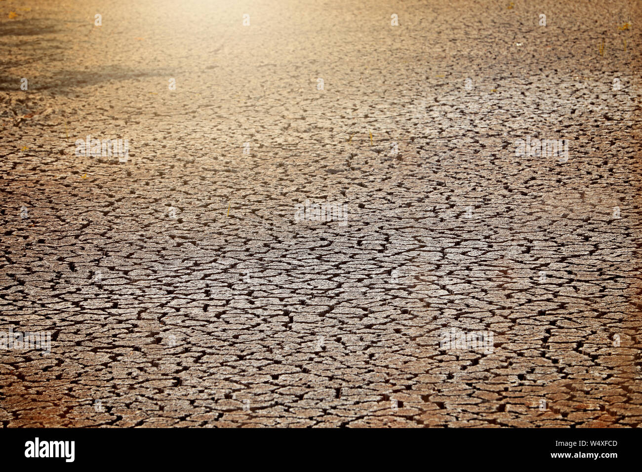 Dried-out soil Drought Climate change Stock Photo - Alamy