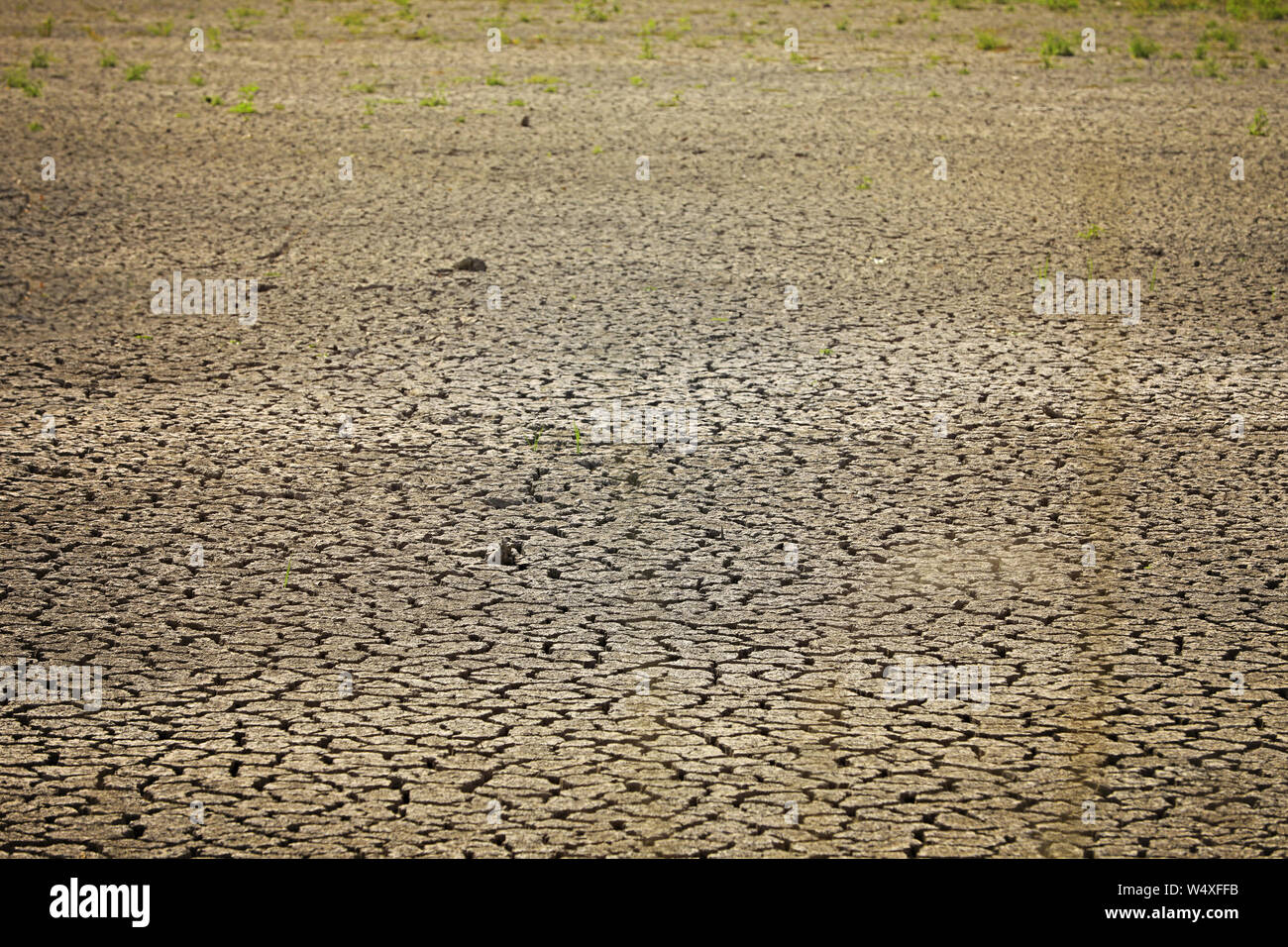 Dried-out soil Drought Climate change Stock Photo - Alamy