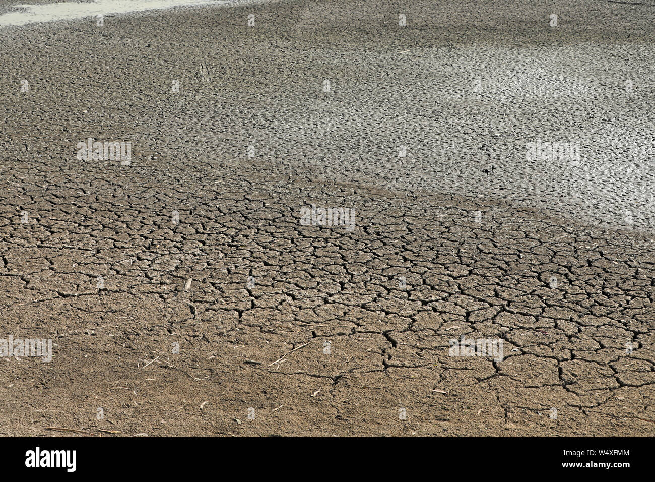 Dried-out soil Drought Climate change Stock Photo - Alamy