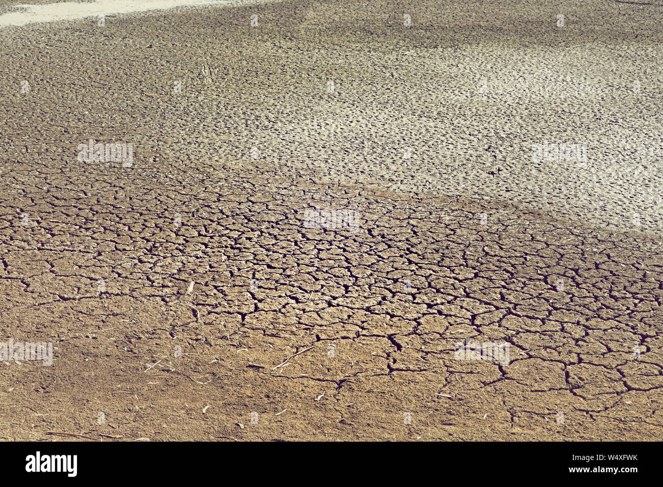 Dried-out soil Drought Climate change Stock Photo - Alamy