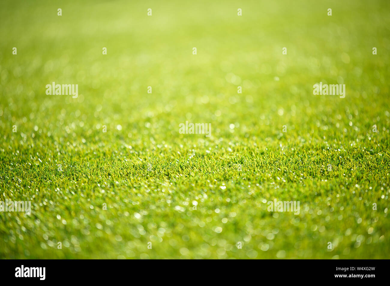 Picture from above of green football field, close-up Stock Photo - Alamy