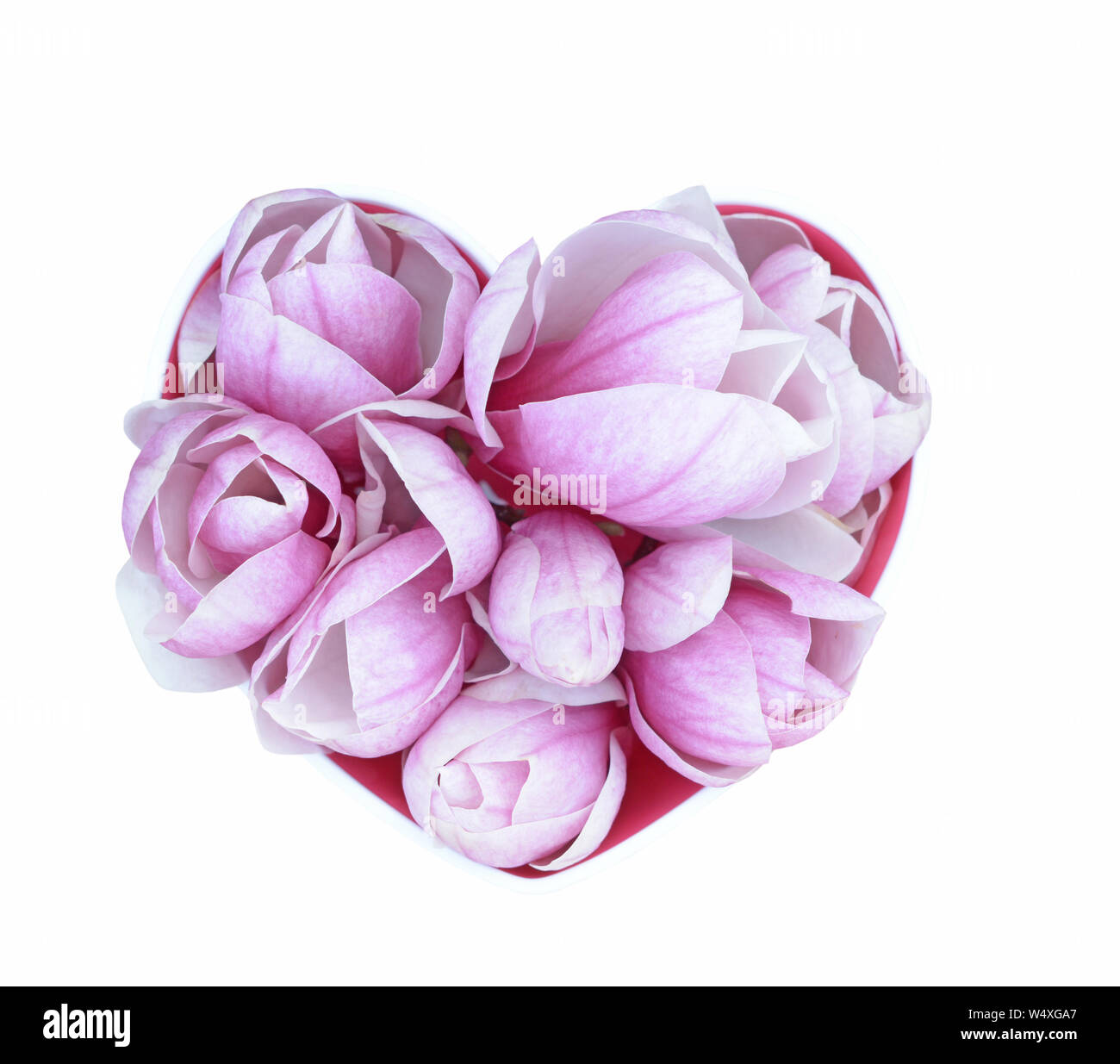 Magnolia flower heart hi-res stock photography and images - Alamy