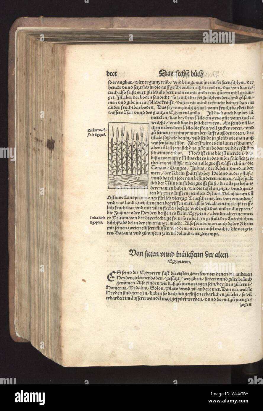 Cosmographia (Sebastian Münster) 800 Stock Photo - Alamy