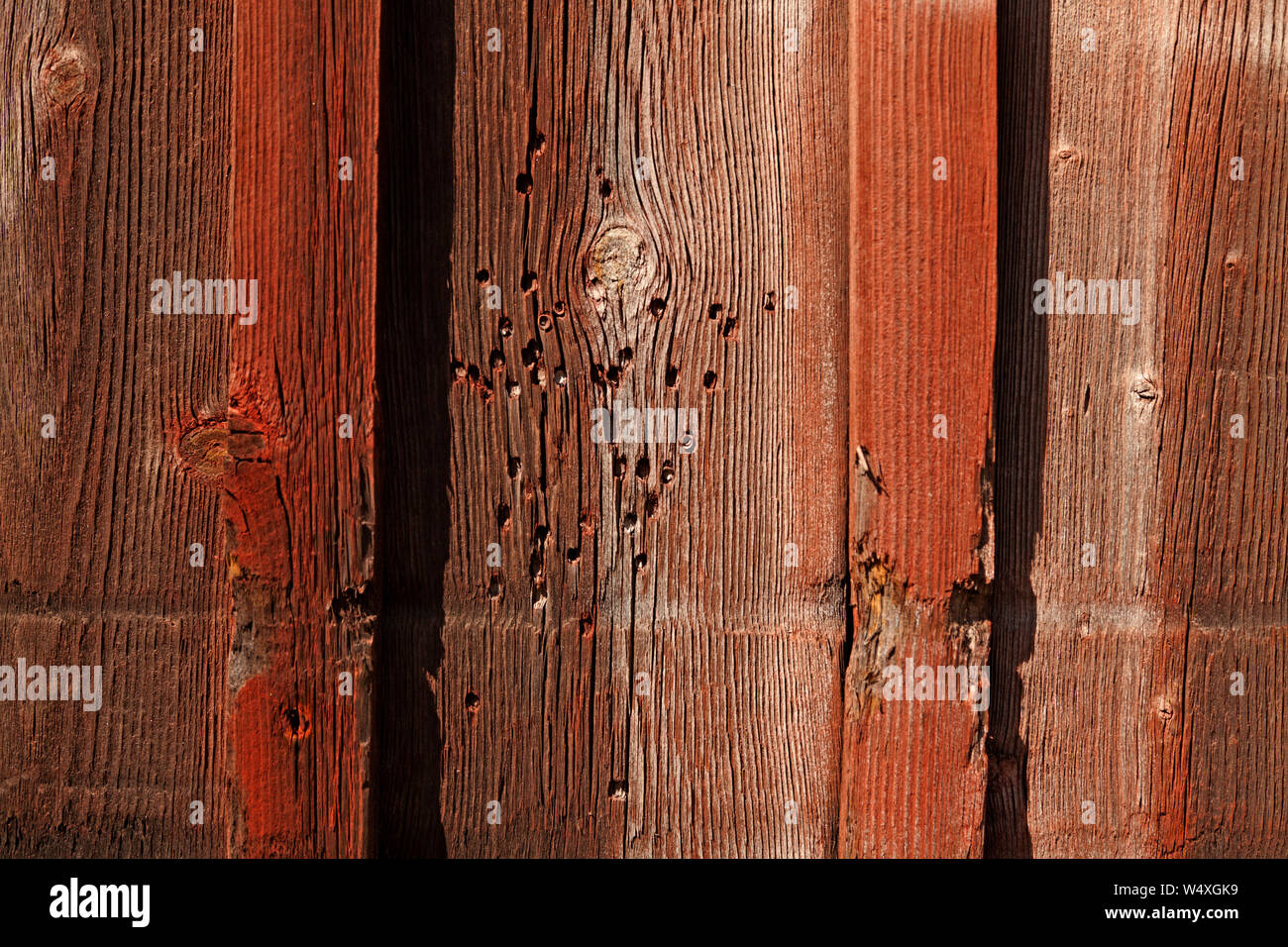 termite attack on facade wood in Umea, lots of unwanted holes Stock ...