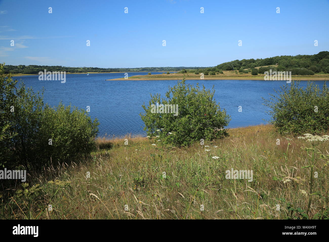Roadford reservoir, Devon, England, UK Stock Photo - Alamy