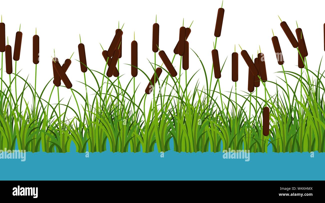 Reed stems Stock Vector Images - Alamy