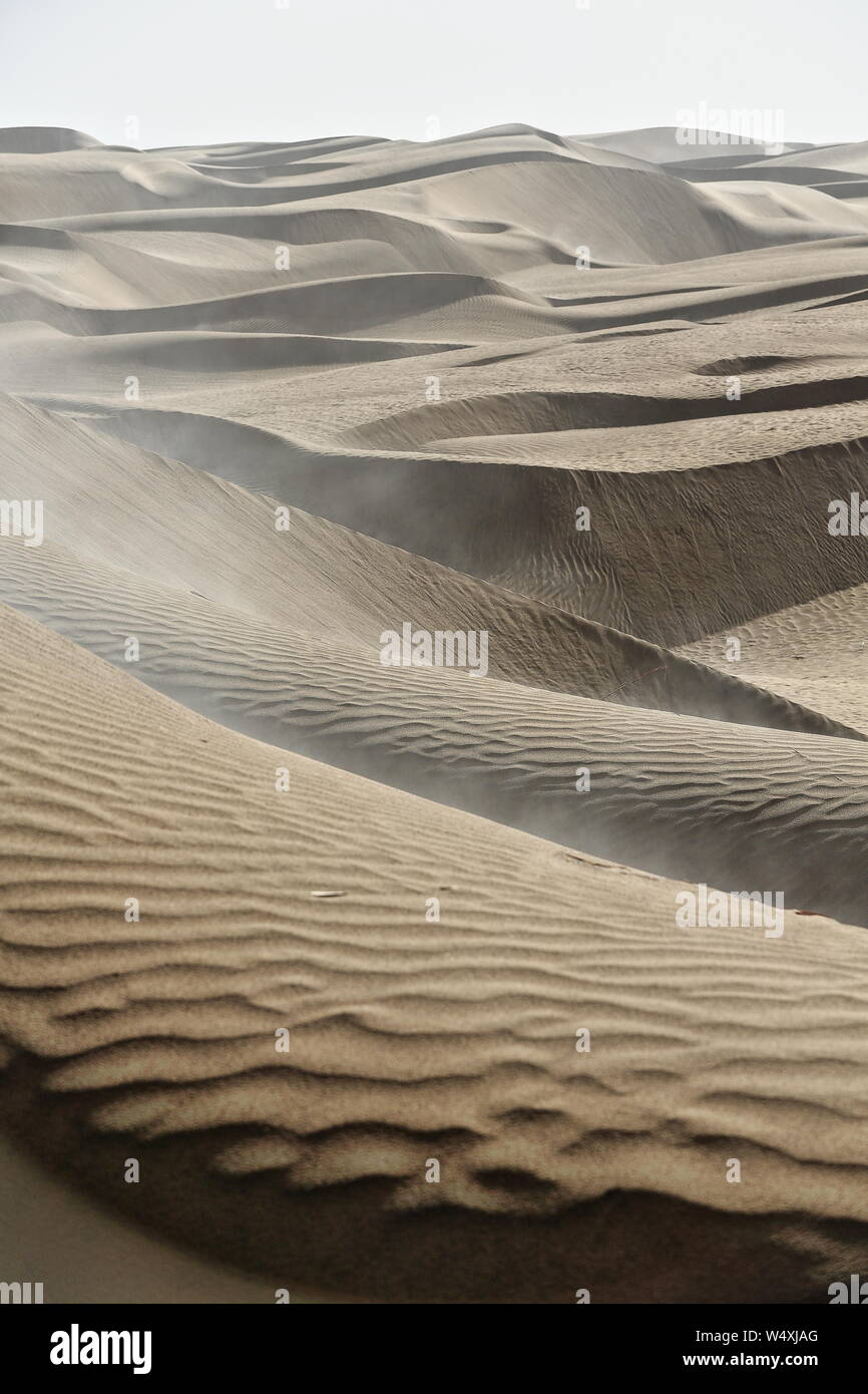 Early morning light over barchans-crescent shaped shifting dunes ...