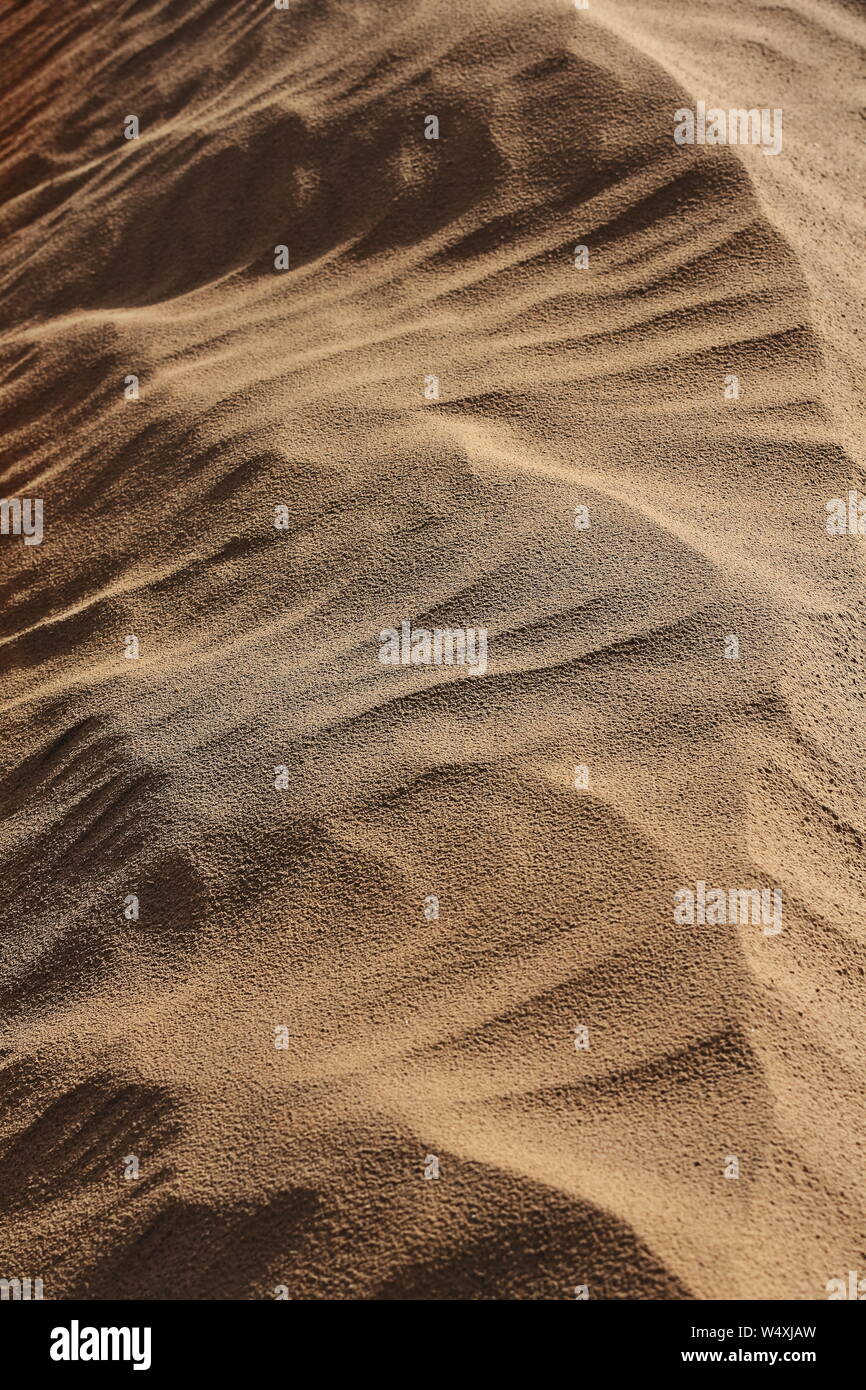 Early morning light over barchans-crescent shaped shifting dunes ...