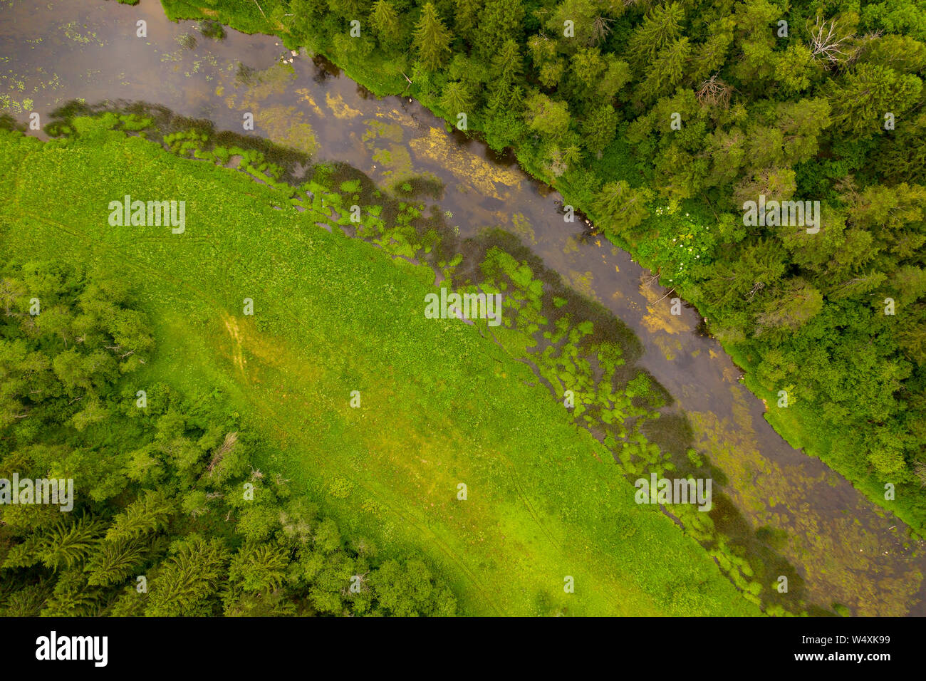 River cutting trough forest. Aerial drone view Stock Photo - Alamy