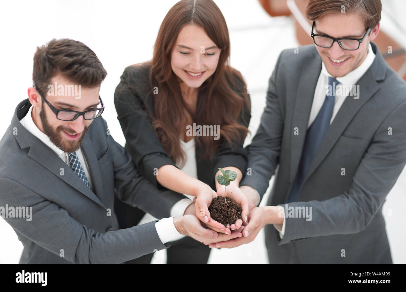 Business team holding together fresh green sprout Stock Photo - Alamy