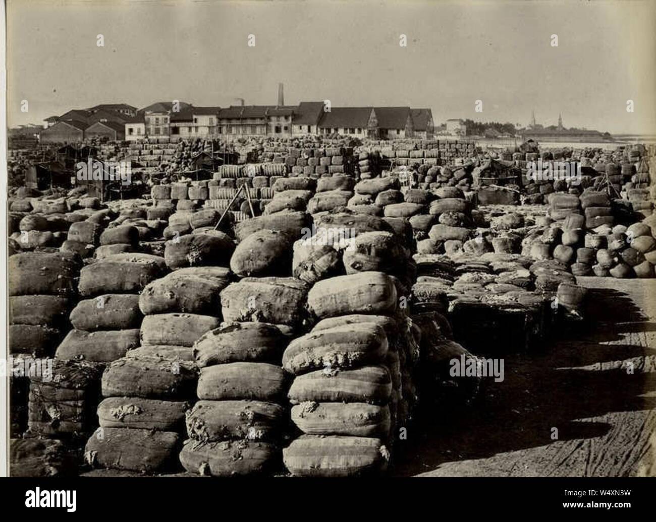 Cotton bales at the port in Bombay in the 1860s Stock Photo - Alamy
