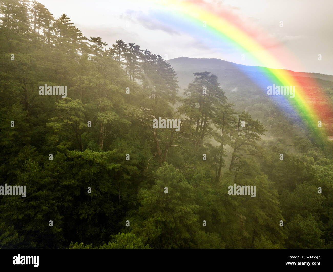 Natural Rainbow After Rain