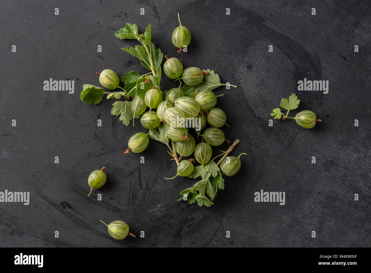 top view of raw gooseberry branch with leaves Stock Photo - Alamy