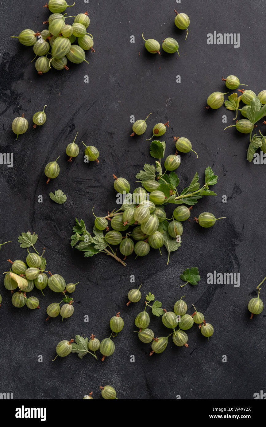 top view of raw gooseberry branch with leaves Stock Photo - Alamy