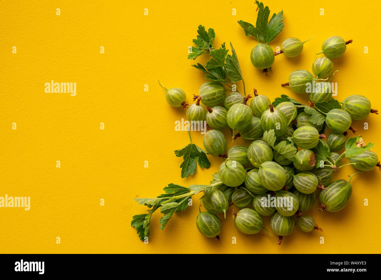top view of raw gooseberry branch with leaves Stock Photo - Alamy