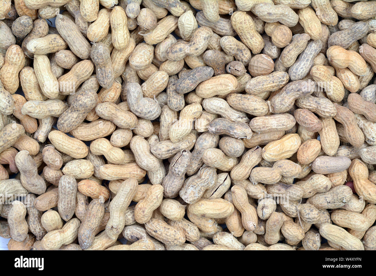 peanut in the shell for background and texture use Stock Photo - Alamy