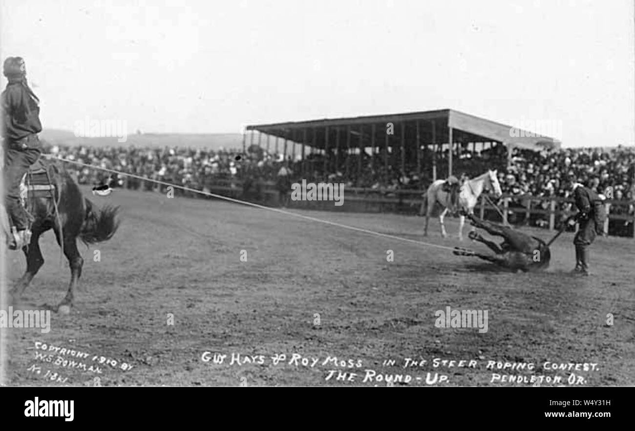 Cowboys roping hi-res stock photography and images - Alamy