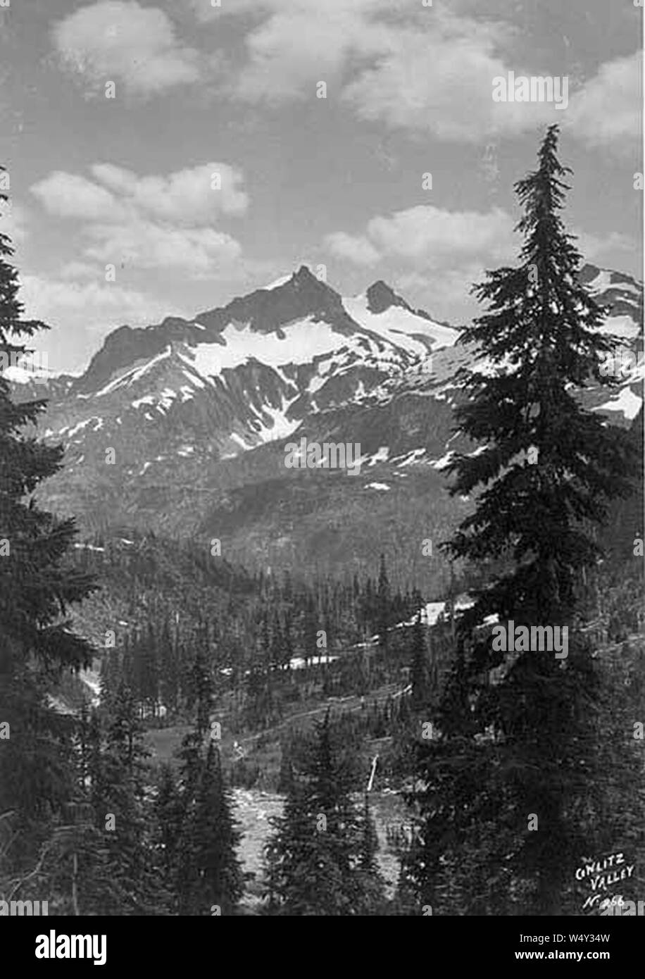 Cowlitz valley hi-res stock photography and images - Alamy