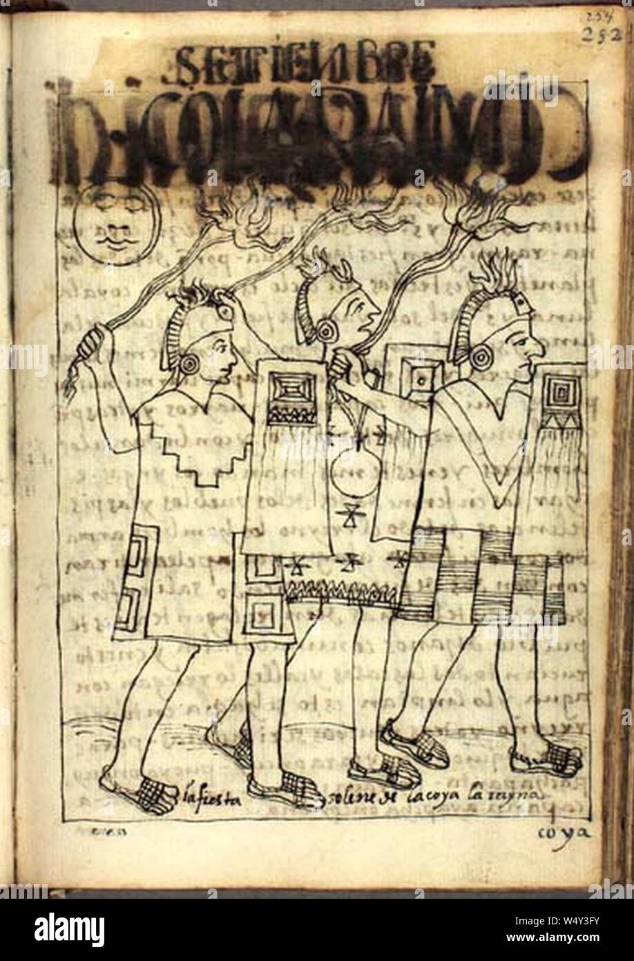 Coya hi-res stock photography and images - Alamy