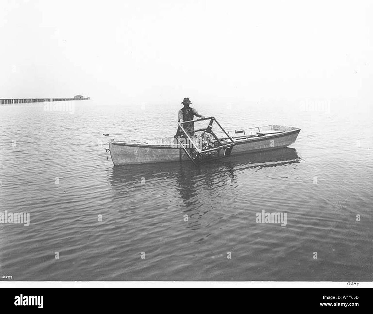 Crab fisherman fishing from a rowboat in Puget Sound waters (CURTIS ...