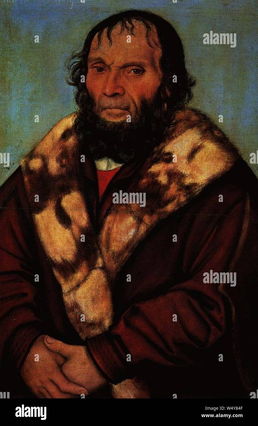 Cranach, Lucas the Elder - Johann(es) Scheyring- 1529 Stock Photo - Alamy