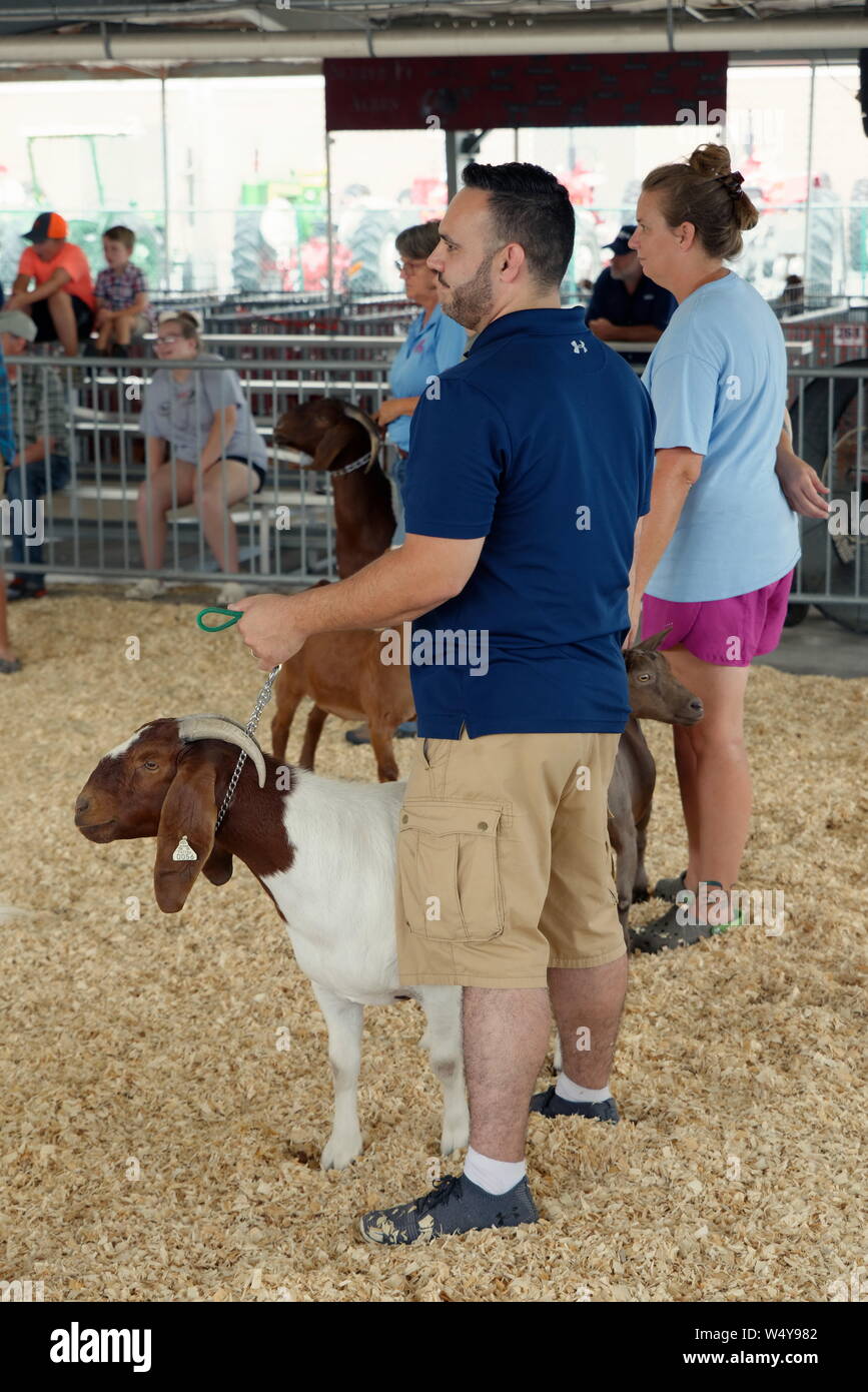Participants in the 2019 Delaware state Fair show a group of goats ...