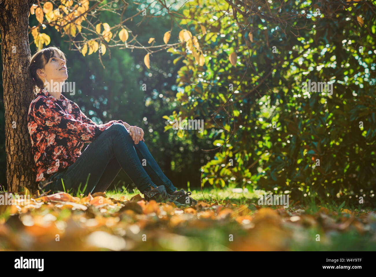 Young woman sitting under an autumn tree leaning on the tree trunk ...