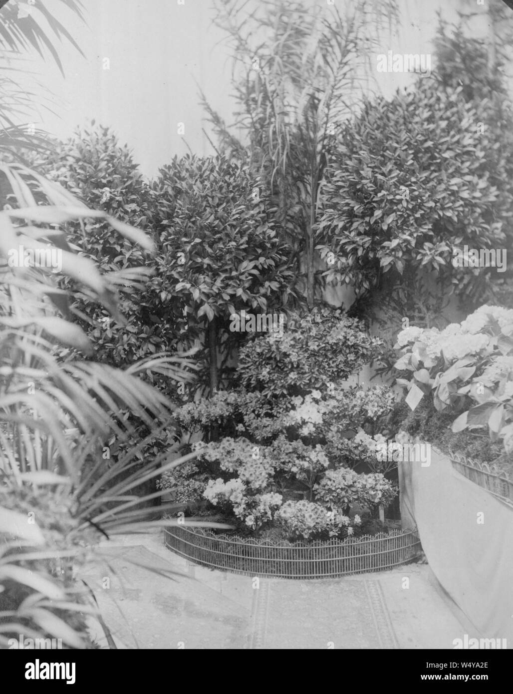 Photograph of greenery and flowers at the Romanov palace exhibition ...